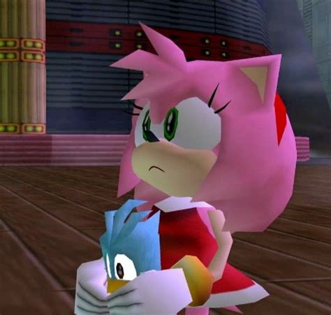 Mr Robot Amy Rose Sonic And Amy Amy The Hedgehog