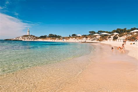 Rottnest Island Lisola Dei Quokka Vita Da Wanderlust