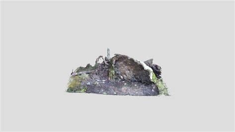 Conifer Root Plate 3d Model By Aaron J Neill Aaronhydro 6f4a8d6 Sketchfab
