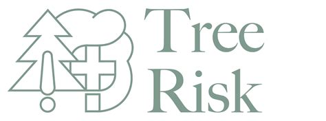Tree Risk Tree Health English Woodlands Forestry