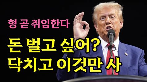 팔란티어 테슬라 애플 나스닥 추천주로 생각하는 이유 트럼프 집권 초기 수익 확실하게 내는 방법 Youtube