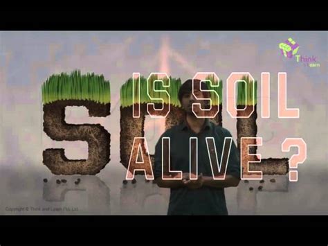 What Is Soil Composition Importance Of Soil