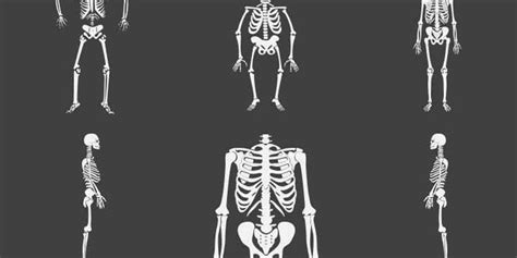 mastering the basics of html a beginner s guide dev community