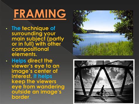 Elements & Principles of Photography Composition - ppt download