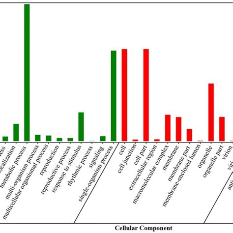 Gene Ontology Annotation Of Transcripts In The Full Length