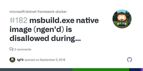 Msbuild Exe Native Image Ngen D Is Disallowed During Binding IL Image Is Used Instead