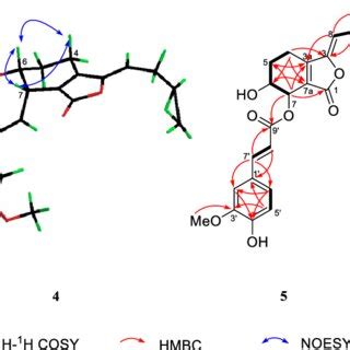 Key D NMR Correlations Of And Download Scientific Diagram