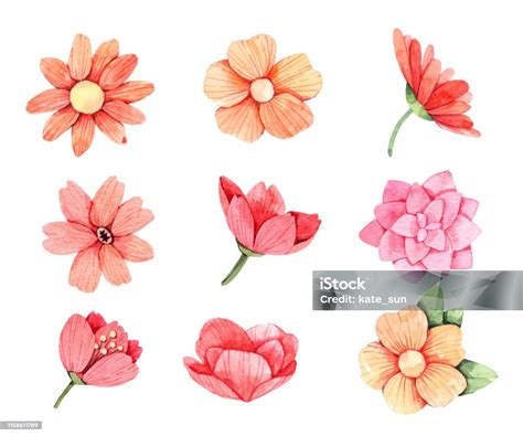 손으로 그린 수채화 그림입니다 식물 여름 빨강과 분홍색 꽃 녹색 잎 꽃 무늬 요소 초대장 인사말 카드 인쇄물 포스터에 적합