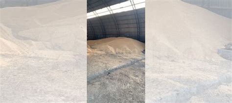 Зерно пшеницы купить в Казани Животные и зоотовары Авито