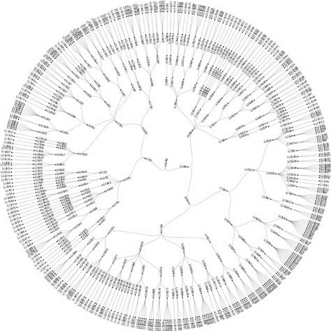 a visualization of the hierarchical block model with blocks labeled by download scientific
