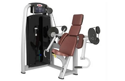Kaya Arm Curl Machine For Gym Model Name Number Int A At Unit In Mumbai