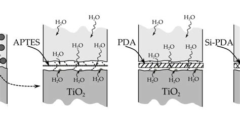 Tprc New Publication On The Application Of Novel