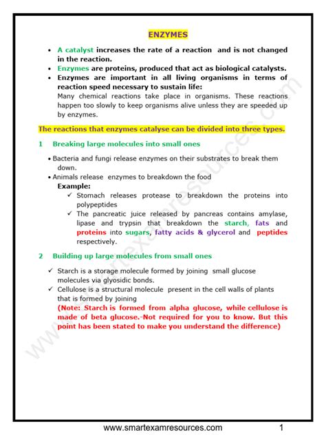 51 Igcse Biology Notes Enzyme Basics Pdf Enzyme Glucose