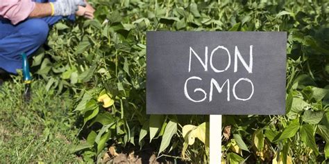 The Naked Seed Company