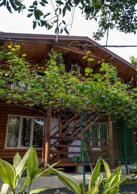 Любимый дворик г Сочи официальный сайт отеля