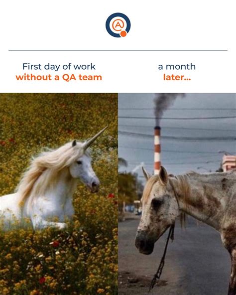 Qatestlab On Linkedin Fridayfunday Fridaymeme Qameme Itmeme