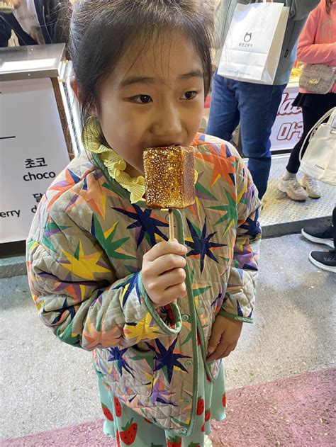이색 디저트 불에 구워먹는 마시멜로 아이스크림 후기