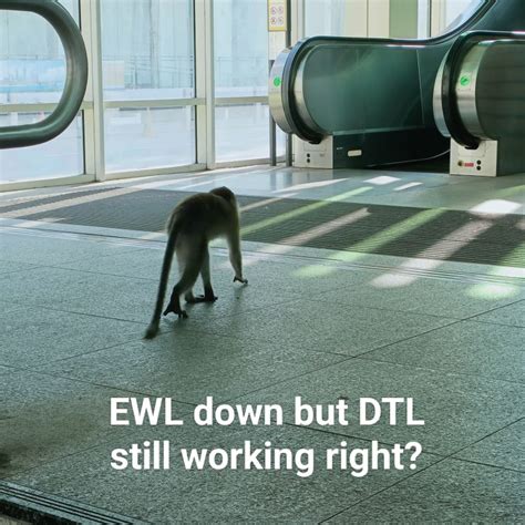 Louis Cheok On Linkedin Life Is Simple So Just Smile Given The Hullabaloo Over The Unhappy…