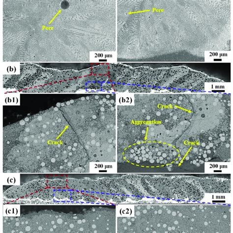 Cross Sectional Morphologies Of Different Coatings A Coating A B Download Scientific