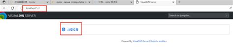 使用visualsvn在windows系统上设置svn服务器，并结合内网穿透实现公网访问svn内网穿透 Csdn博客