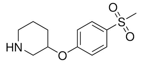 Methyl 4 3 Piperidinyloxyphenyl Sulfone Aldrichcpr 1284608 15 6