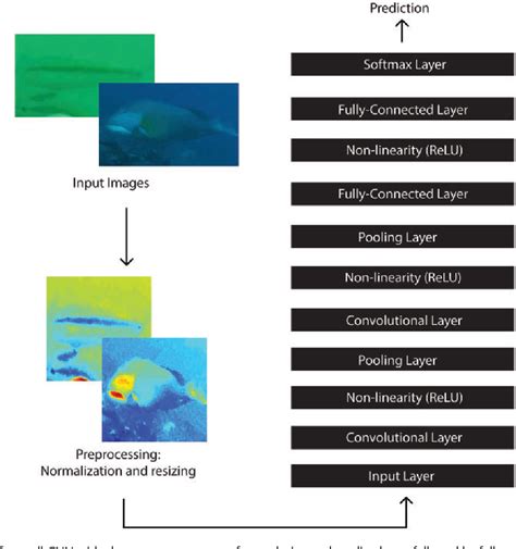 Figure From Automatic Fish Species Classification In Underwater Videos Exploiting Pre Trained