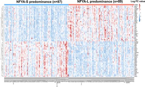 the heatmap analysis presented rna‐seq gene expression values for the