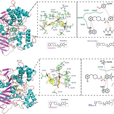 A Binding Mode Prediction Of 15b With Huache Pdb Id 4ey7 B