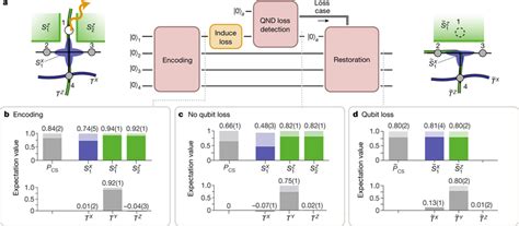 Experimental Realization Of The 14 Qubit Algorithm Aiming At Loss
