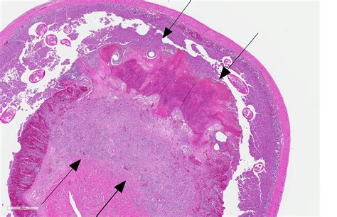 Conference 09 2019 Case 03 20191030