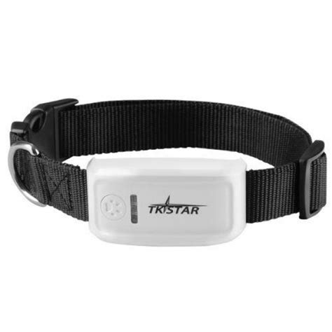 GPS ошейники для кошек - ROZETKA | Купить ошейник с GPS трекером для ...