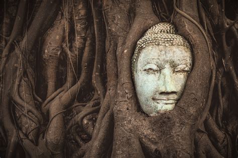 Doing Phenomenology An Introduction To Phenomenological Method