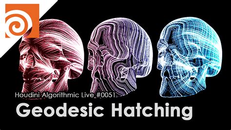 algorithmic live geodesic hatching sidefx