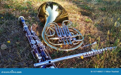 Three Musical Instruments Horn Bassoon Flute Stock Image Image Of
