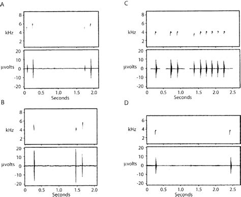 Spectrograms Above And Waveforms Below Of Advertisement Calls Of Download Scientific