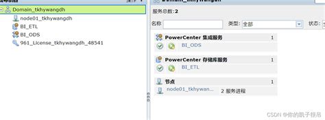 etl 数据清洗工具informatica informatics etl工具 csdn博客