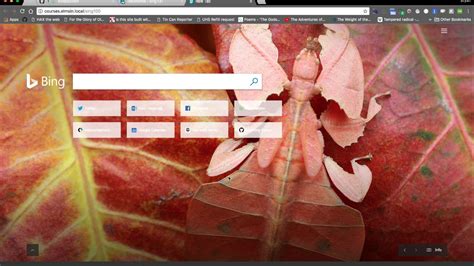 Drupal Views Blocks Entities And Token Tags Youtube