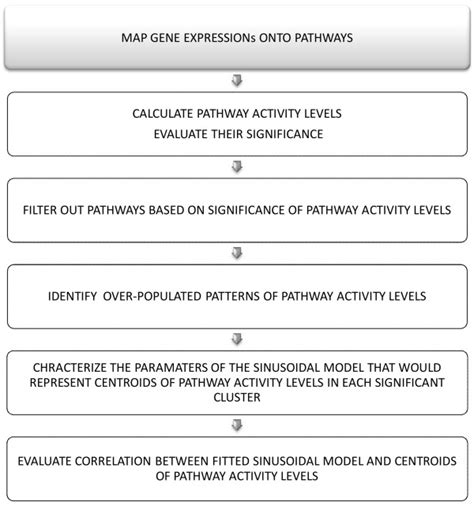 The Outline For Clustering Analysis Of Pathway Activity Levels Pathway