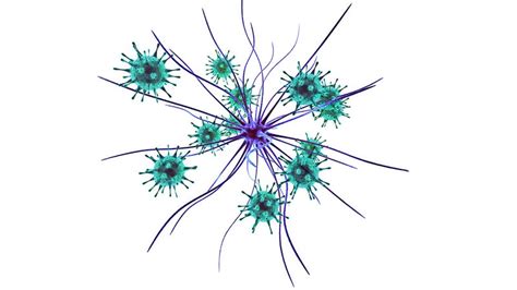 Multiple Sclerosis And Epstein Barr Virus What Do We Know