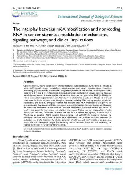 pdf the interplay between m6a modification and non coding rna in