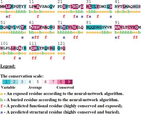 Conservation Analysis Of The Ten1 Protein Using Consurf Consurf