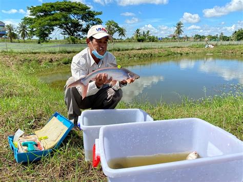 គម្រោង ថែបំប៉ន កូន ត្រី ប្រភេទ ជិត ផុត ពូជ