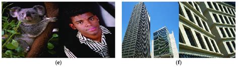 representative images from the datasets used for comparing and