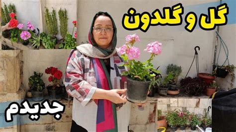 گل و گلدون های جدید من با هم ببینیم چه گل هایی خریدم گل های زیبا
