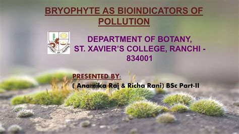 Bryophyte As Bioindicators Of Pollution Pptx