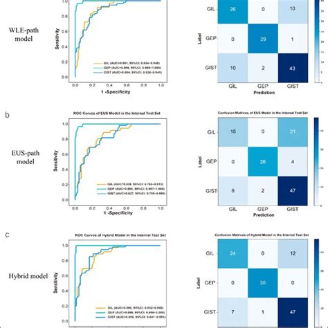 Performance Of The Multipath System To Distinguish Subtypes Of