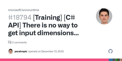 Training C Api There Is No Way To Get Input Dimensions From Onnx Model Issue