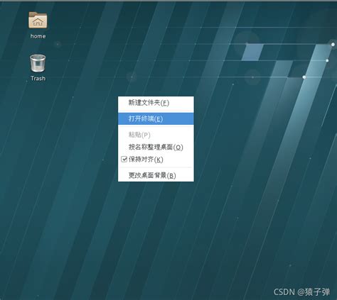 linux虚拟机无法连接网络，网卡ensxx的inet消失的解决方法 linux网络过一会inet就没有了 csdn博客