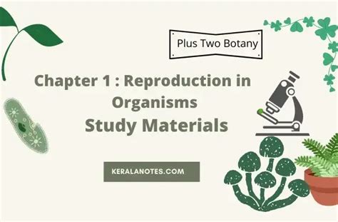 Plus Two Botany Notes Chapter Reproduction In Organisms