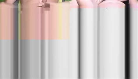 Cheffin Jumbo Dokkum In Mijn Tuin Eporner